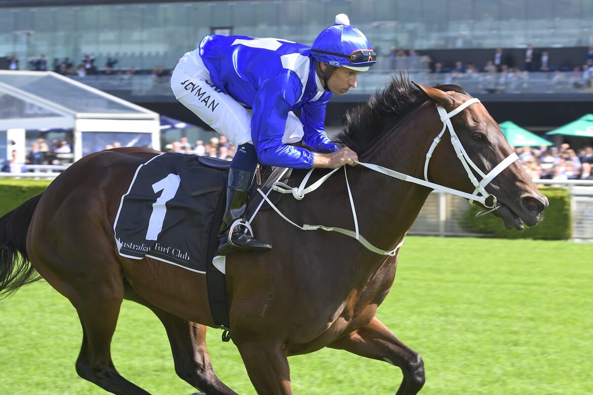 Cox Plate Winners List - 2025 Winners & Placegetters