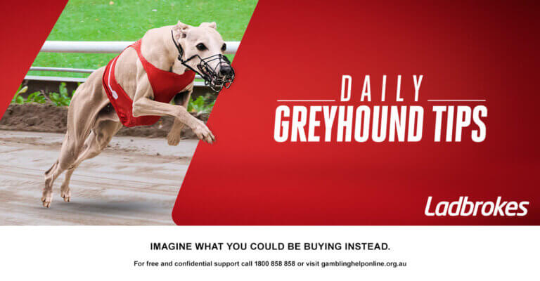 Daily Greyhound Tips - Saturday, 15th April - Ladbrokes Blog