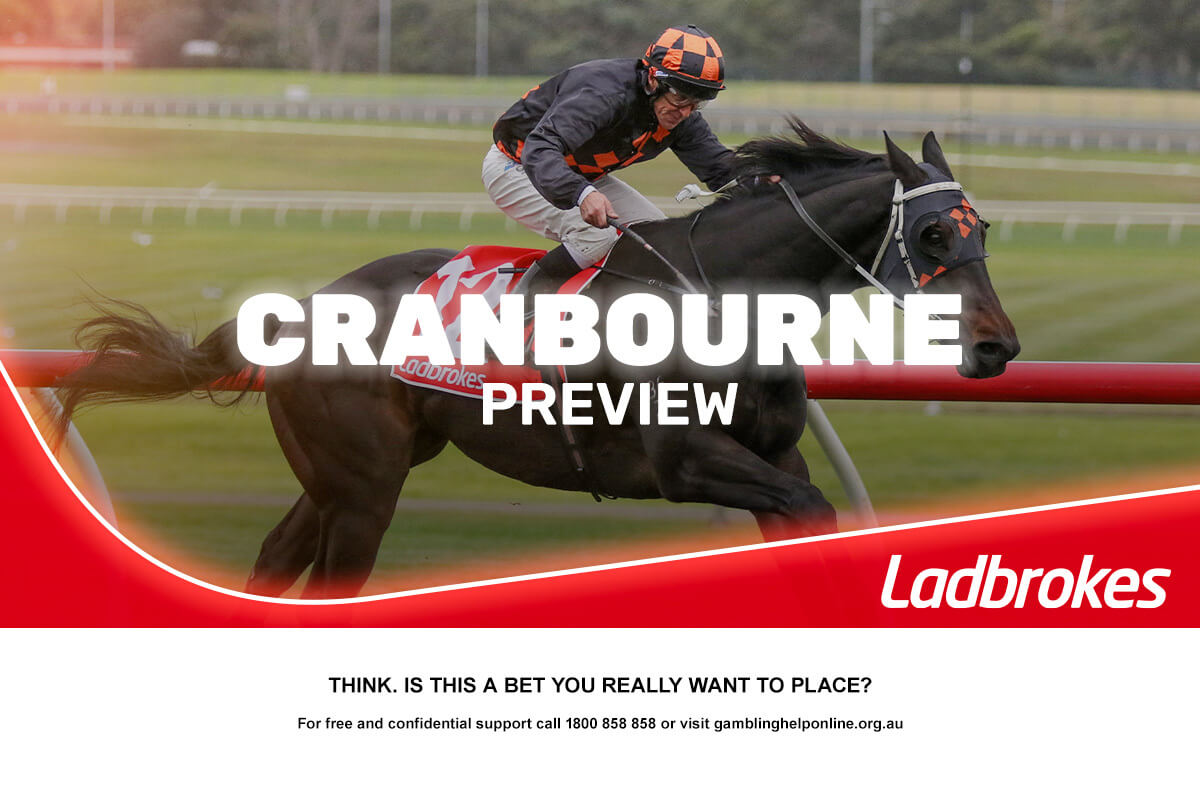 Cranbourne Preview – Friday 19th January - Ladbrokes Blog