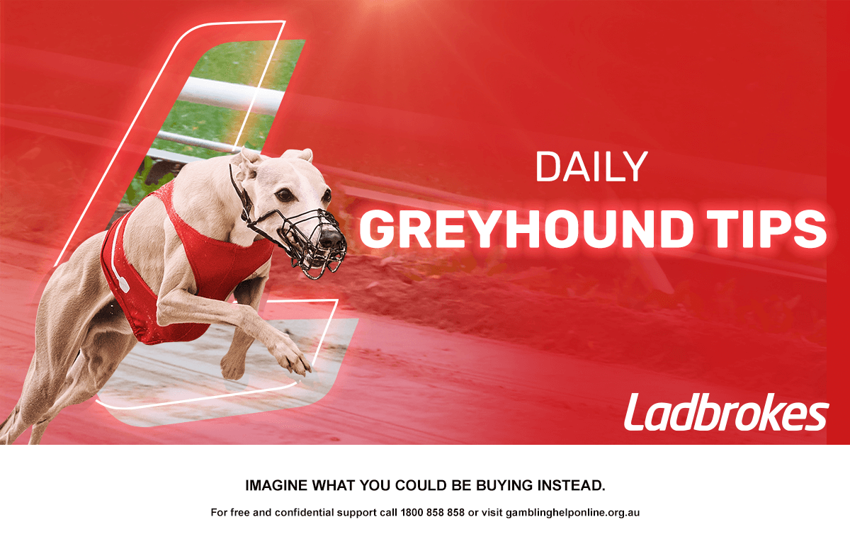 Daily Greyhound Tips - Sunday 16th June - Ladbrokes Blog