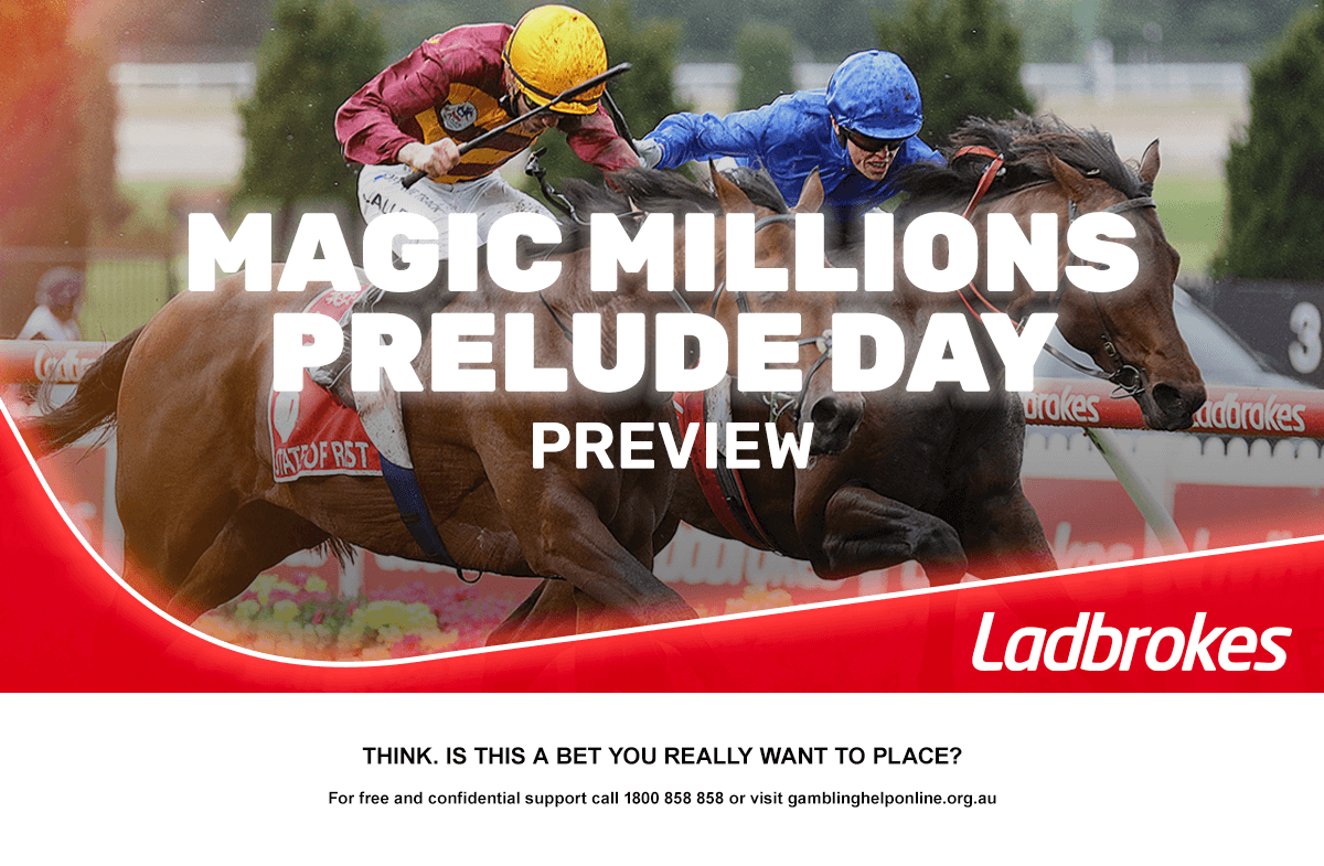2024 Magic Millions Prelude Day Preview - Ladbrokes Blog