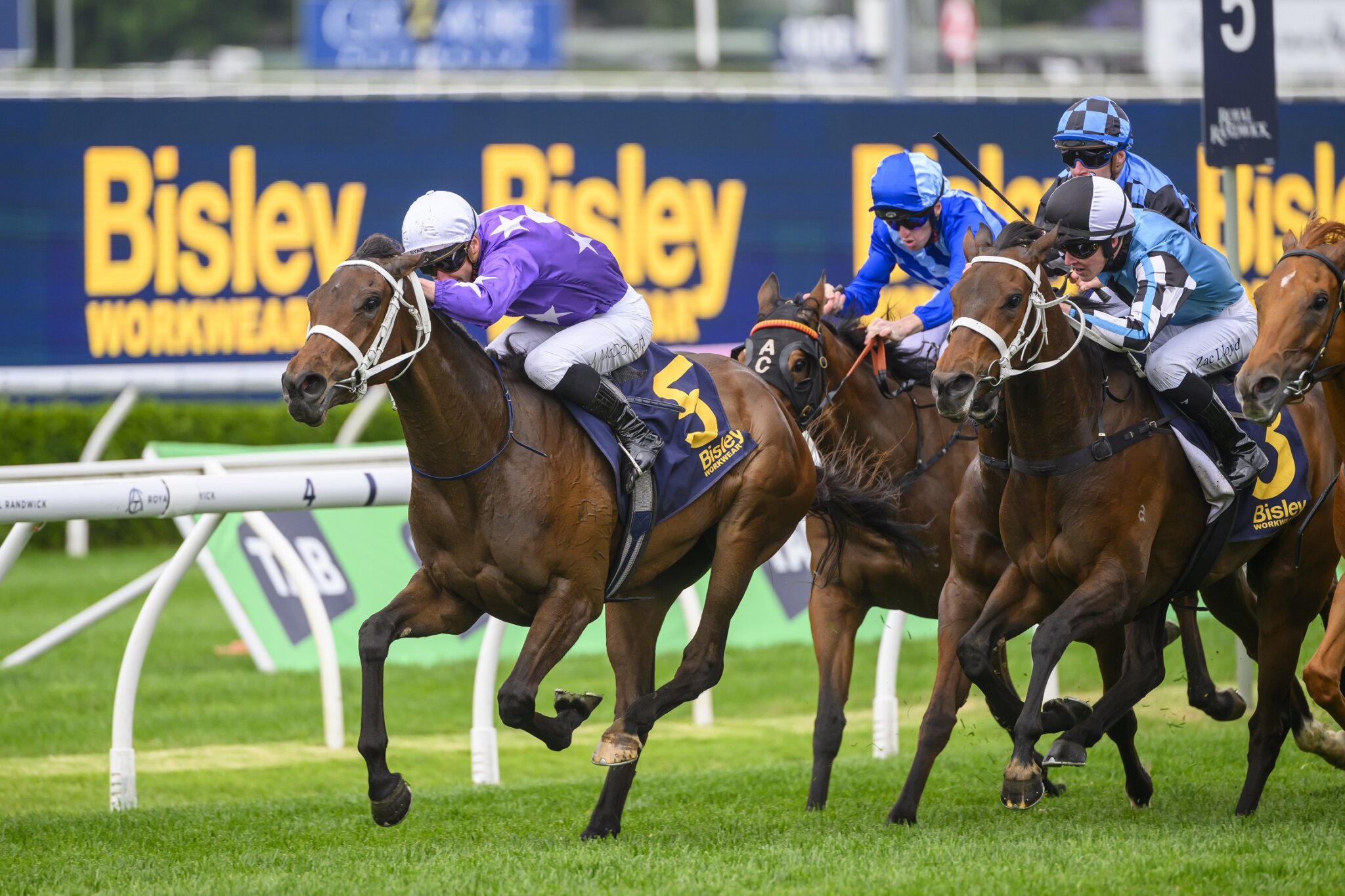 The Spring Prospect Watchlist: Derby Queen Ready for More! - Ladbrokes Blog