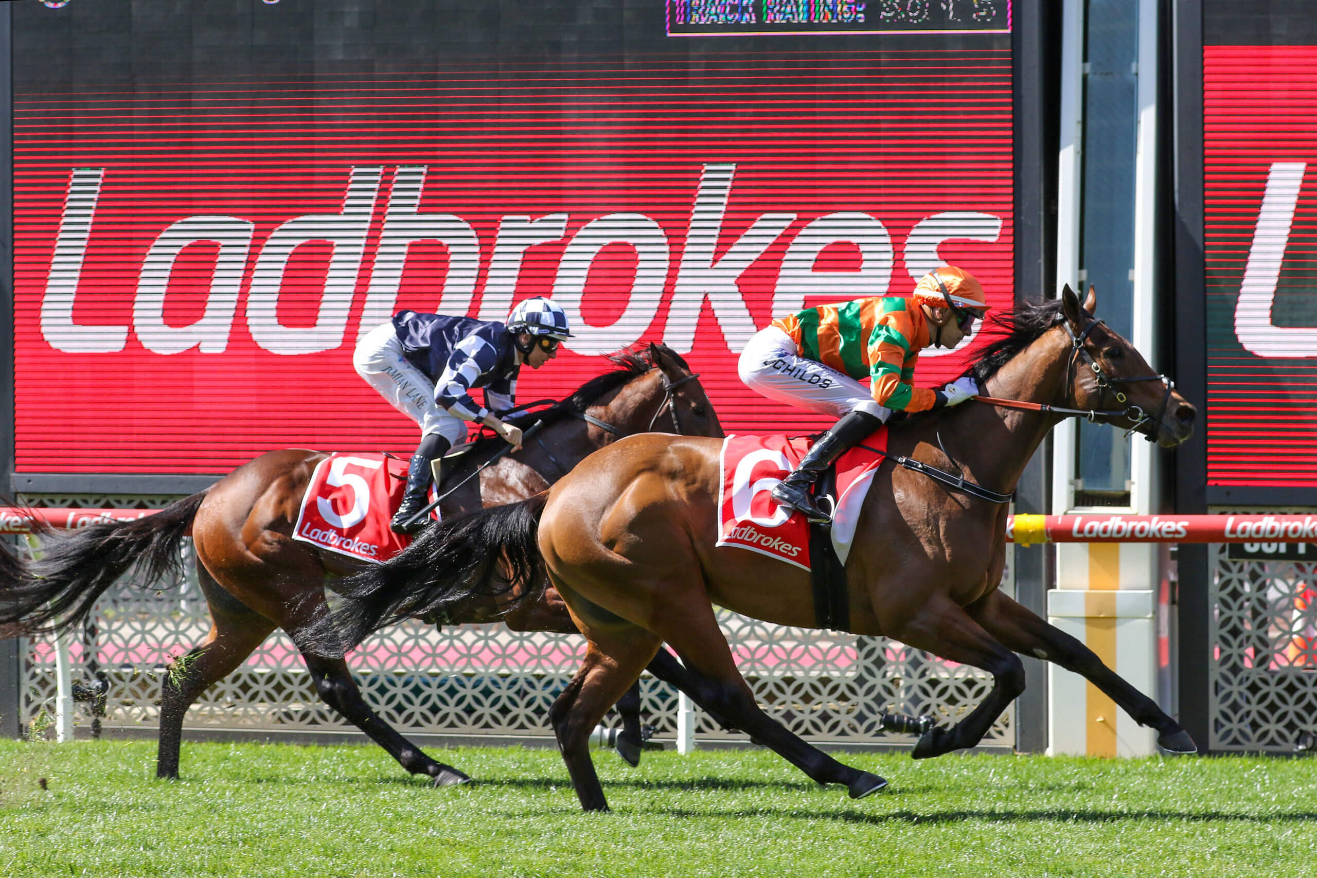 2025 Victoria Derby Runner-by-Runner Tips & Preview - Ladbrokes Blog