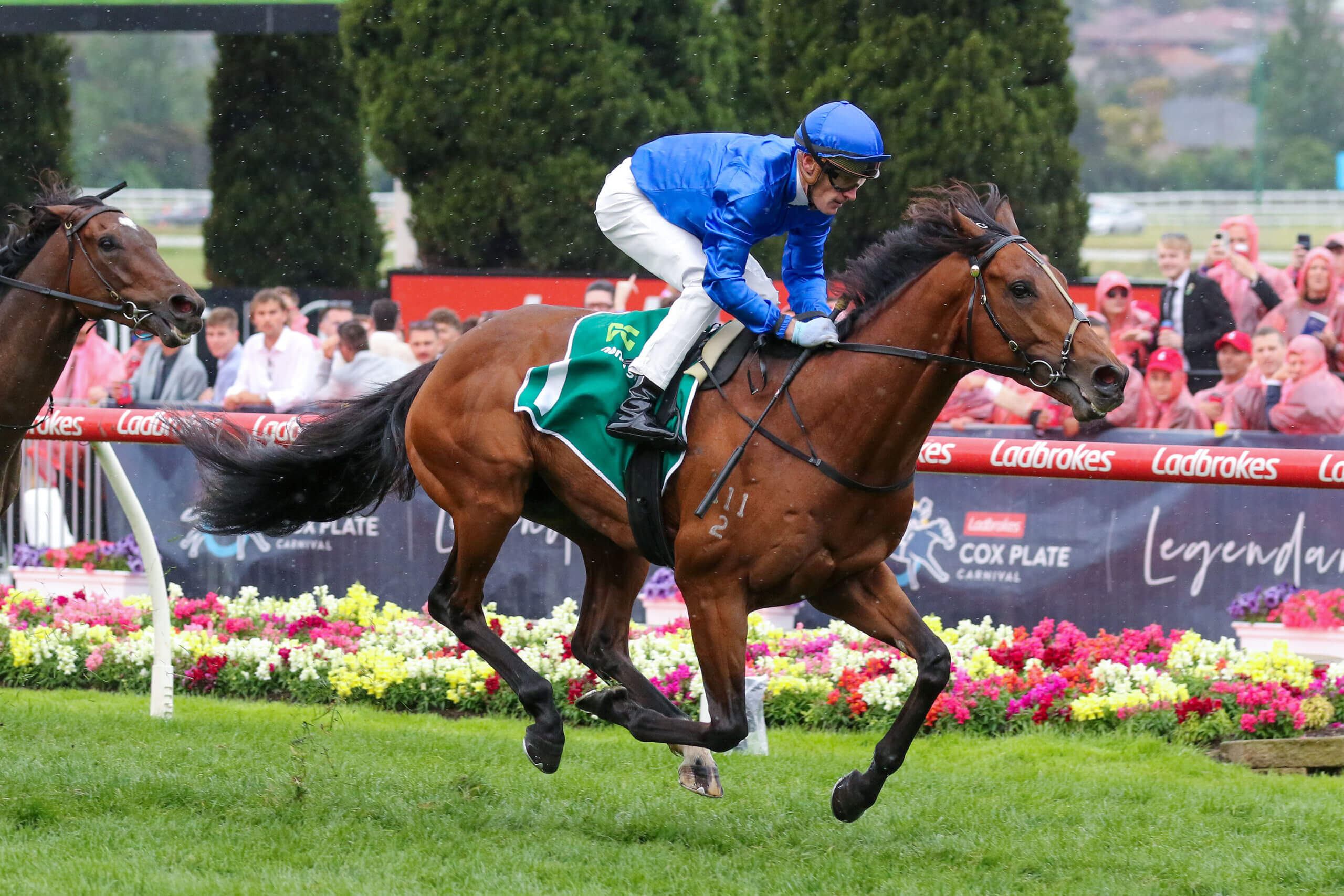 2025 Victoria Derby Runner-by-Runner Tips & Preview - Ladbrokes Blog