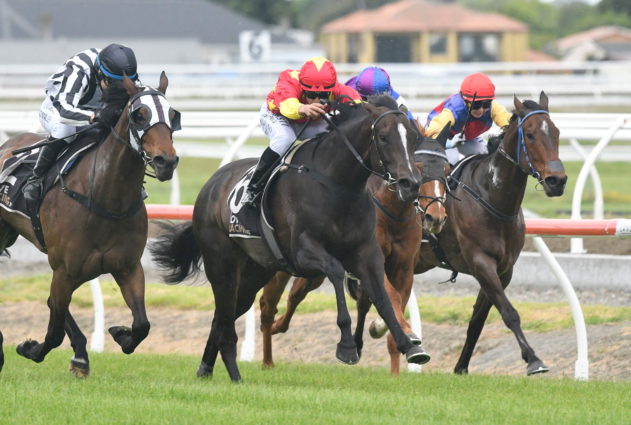 2025 Victoria Derby Runner-by-Runner Tips & Preview - Ladbrokes Blog