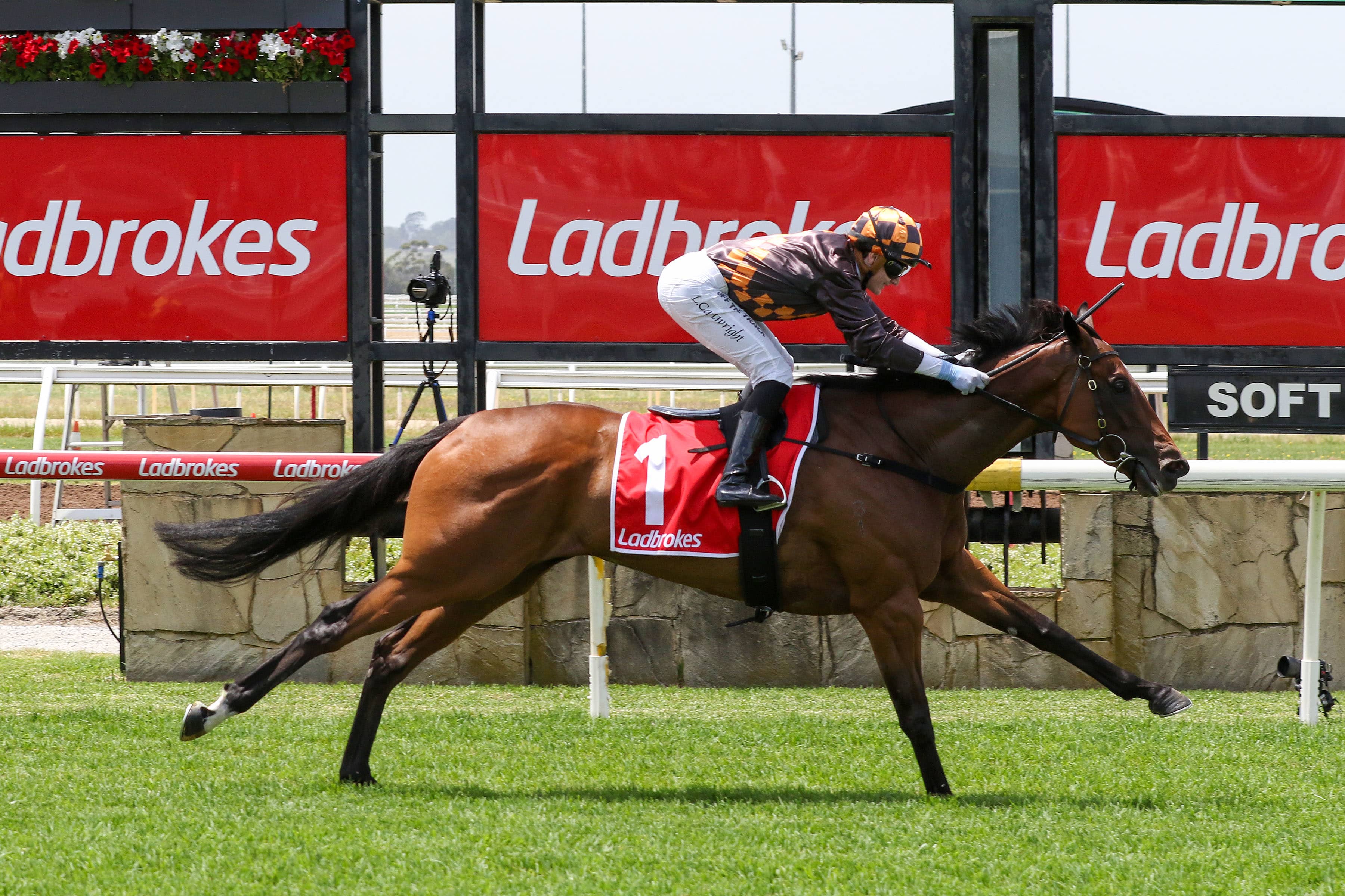 Hendo's Hopefuls: Saturday's Best Roughies - Ladbrokes Blog